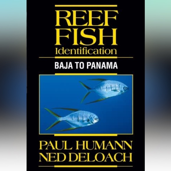 Fish | Paul Humann Reef Fish Identification Baja To Panama | Poshmark